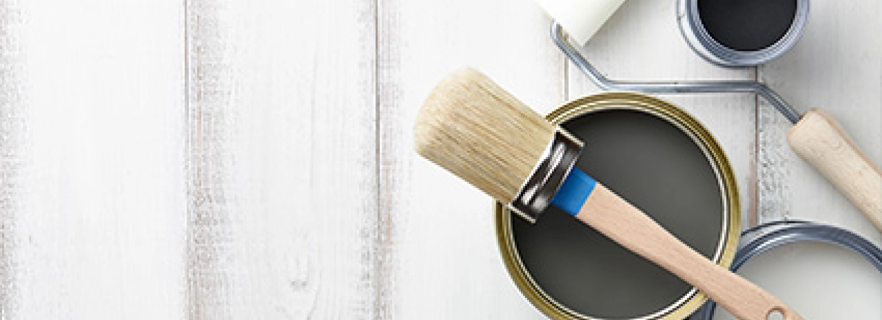 Wall paint | Colorex